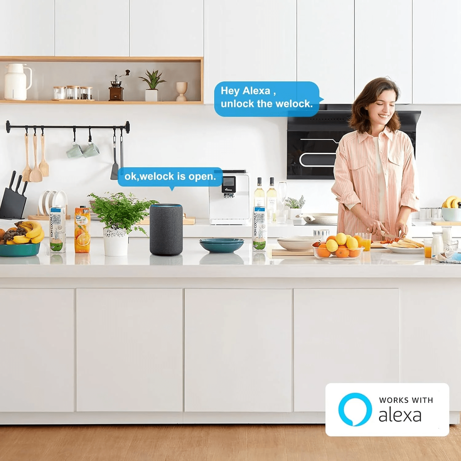 Cómo conectar Welock Smart Lock con Alexa – WELOCK